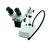 Windaus Microscope binoculaire HPS 50, avec éclairage LED en col de cygne